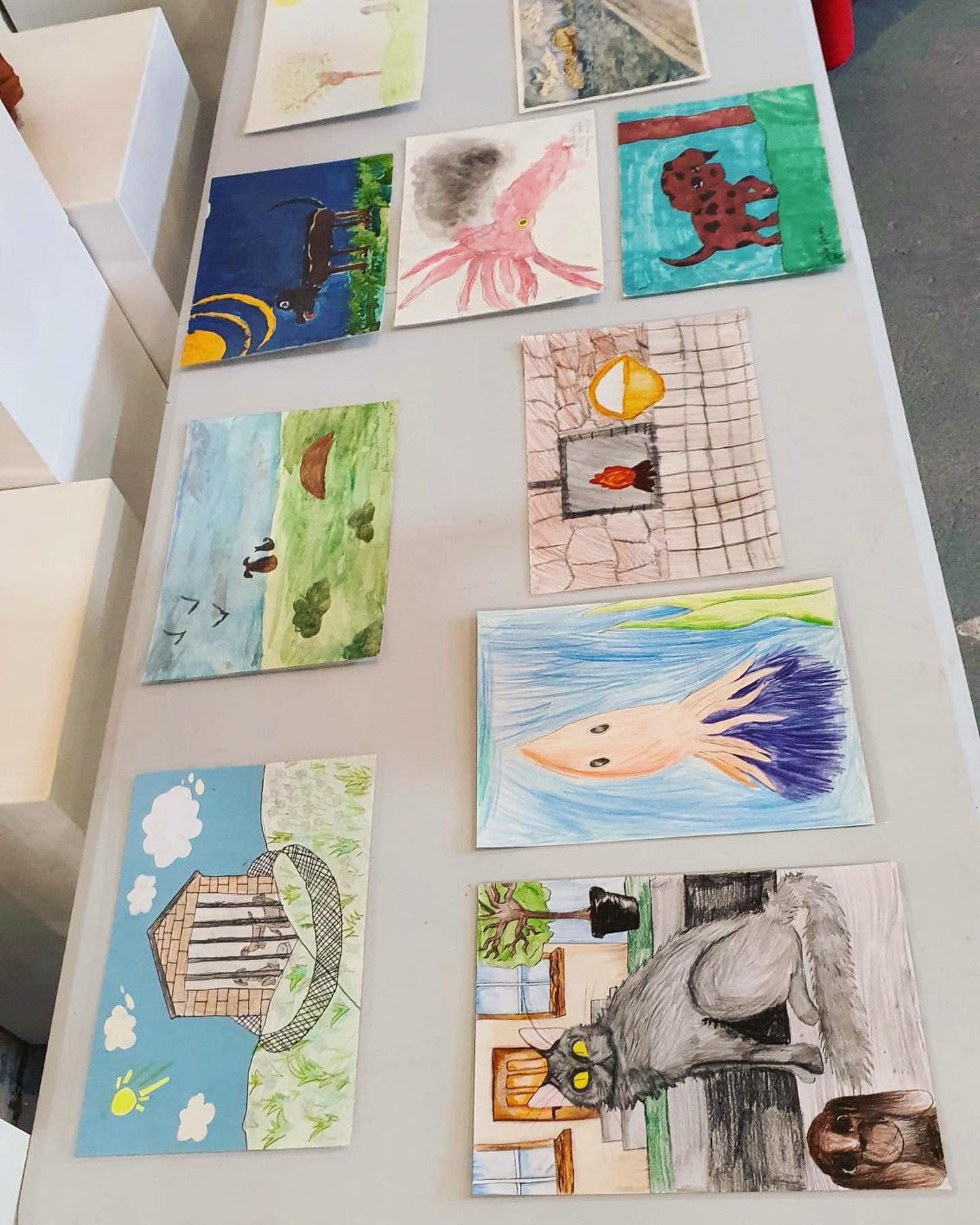 The incredible journey of Pambos and Alicat - The International School ...
